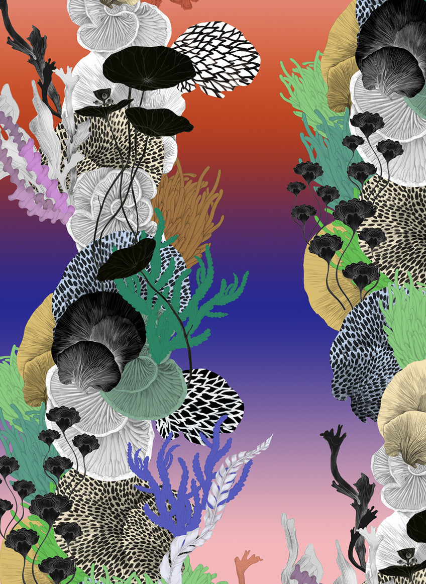 OCEAN – BLANDAT